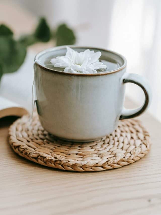 What Is White Tea? Check Its Benefits