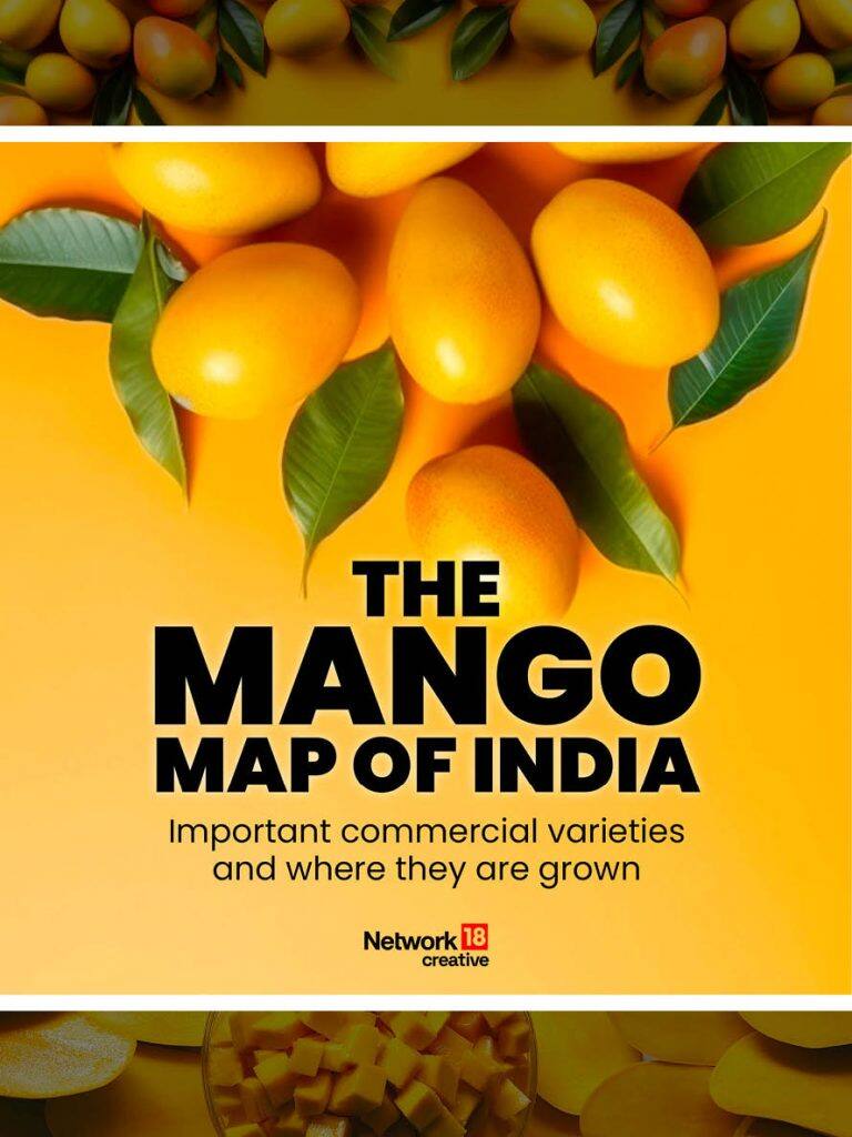 Mango Map of India: Varieties And Where They Are Grown