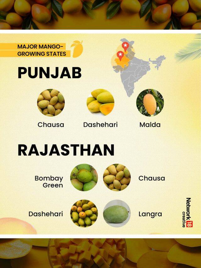 Mango Map of India: Varieties And Where They Are Grown