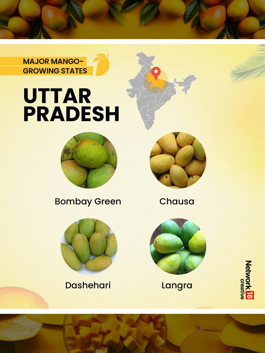 Mango Map of India: Varieties And Where They Are Grown