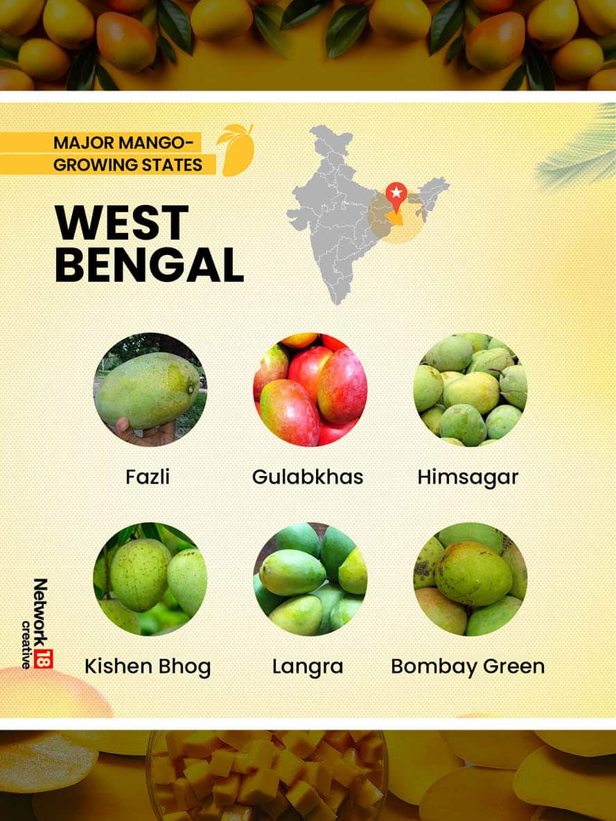 Mango Map of India: Varieties And Where They Are Grown