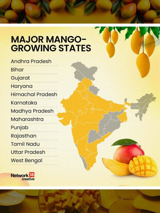 Mango Map of India: Varieties And Where They Are Grown