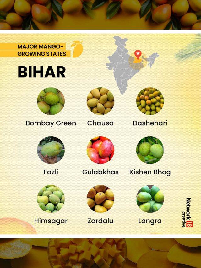 Mango Map of India: Varieties And Where They Are Grown