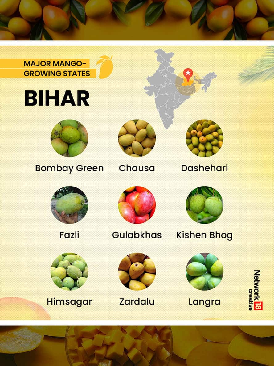 Mango Map of India: Varieties And Where They Are Grown