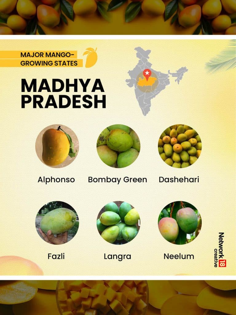 Mango Map of India: Varieties And Where They Are Grown