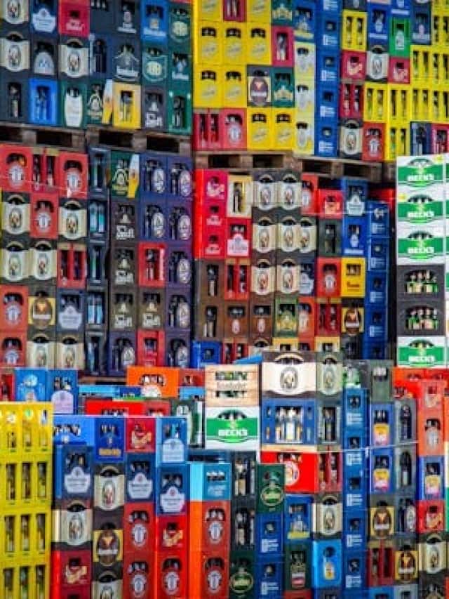 Beer 101: Exploring the various types of beer you should know about