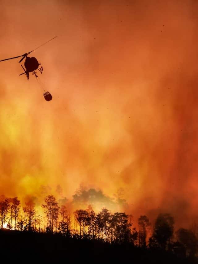 Top 10 wildfires in history as Nainital witnesses forest fires