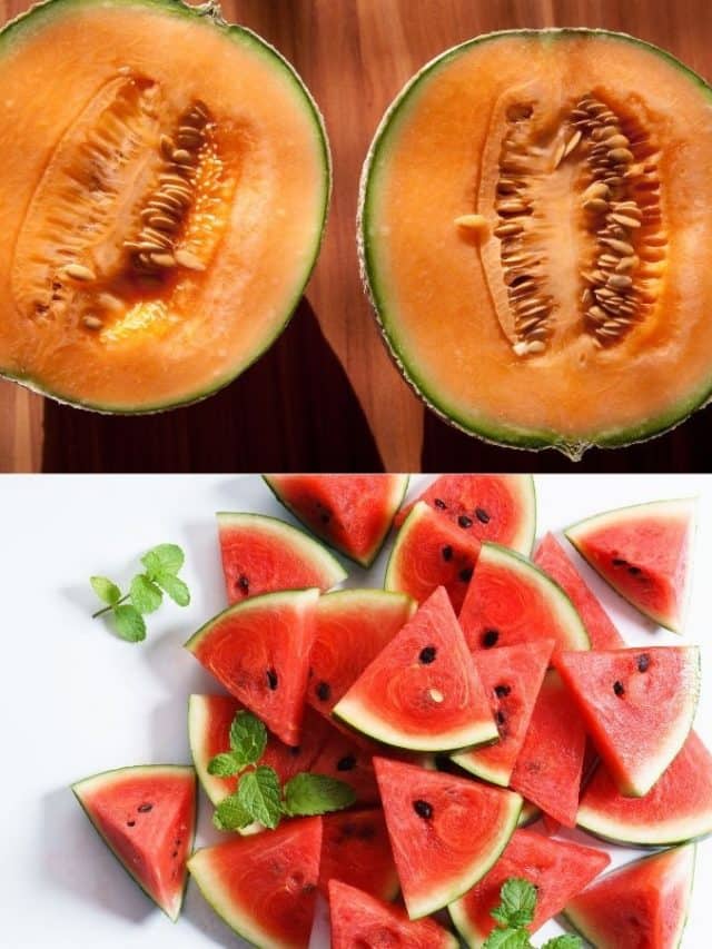 कलिंगड की खरबूज.. डायबेटिज कंट्रोलसाठी काय जास्त फायदेशीर?