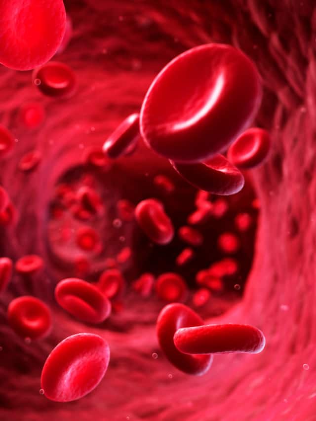 10 Key Facts About Rhnull — The World's Rarest Blood Group