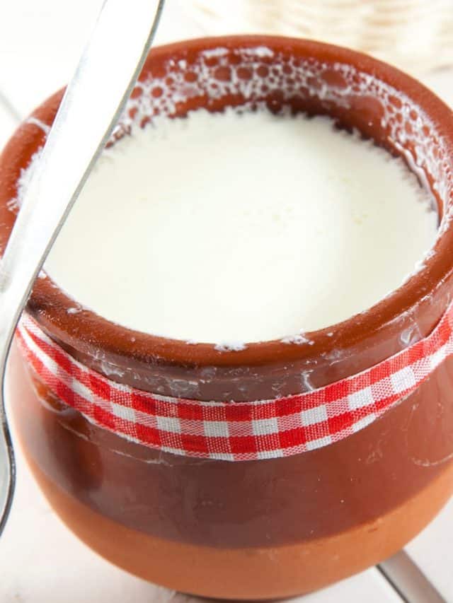 The health benefits of consuming curd after a meal