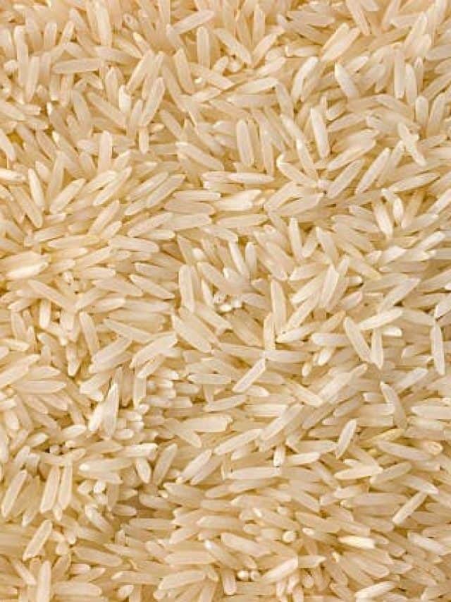 6 Popular Rice Grains In The World