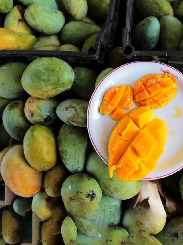 बाजार में आए 'नकली' आम- ये कैसे बने, खा लिया तो क्या होगा?