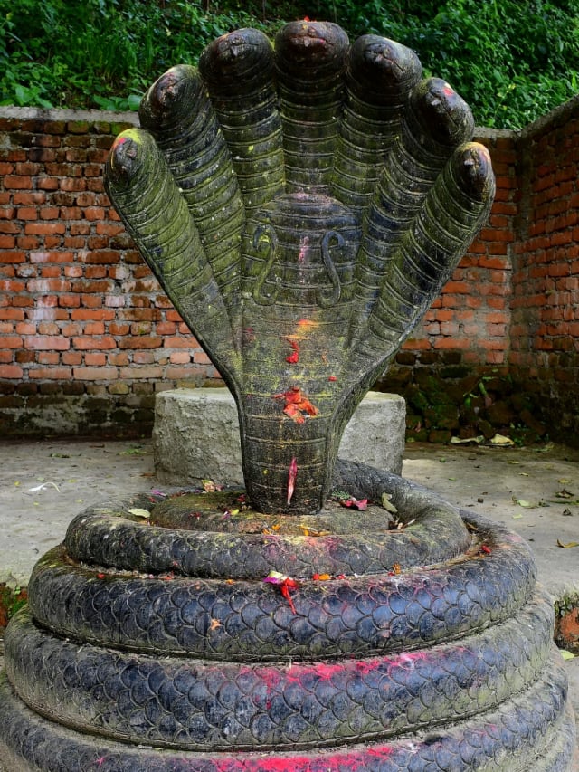 Nagas: 8 Most Revered Snake Deities in Hindu Mythology