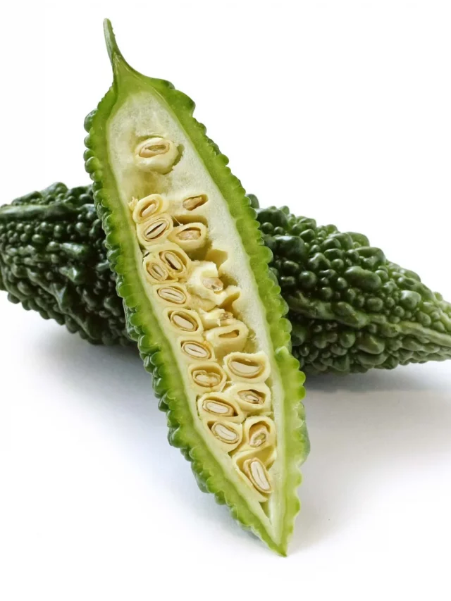 9 bitter foods that are good for you