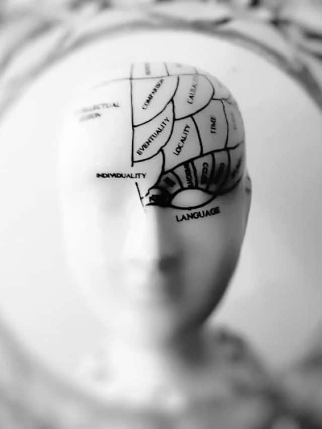 Want a sharp memory? 10 foods to eat besides almonds