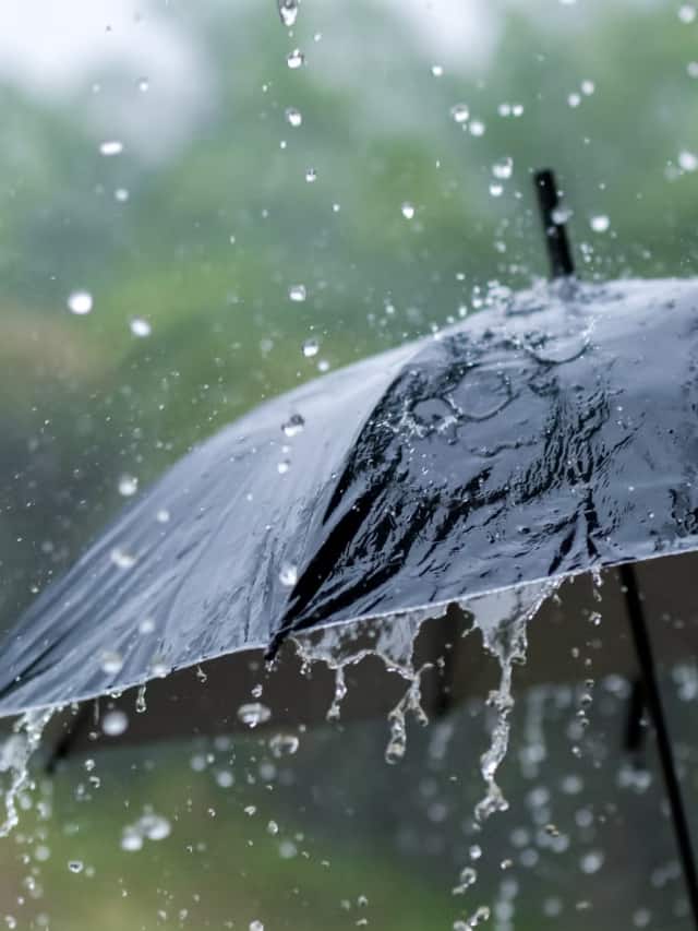 Get rain ready: 8 essential items to carry in your bag during the rains