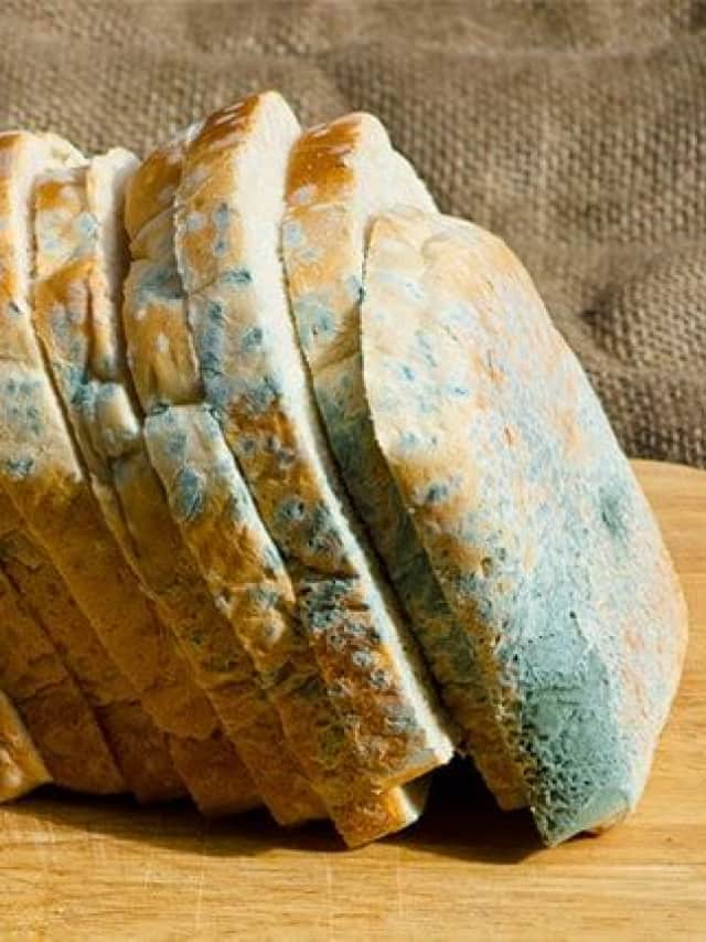 How To Save Your Food From Spoiling This Monsoon