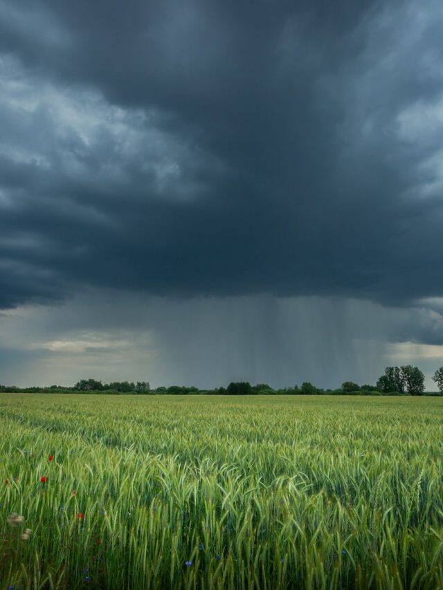 Agricultural states suffer as one-third of India faces deficient rainfall