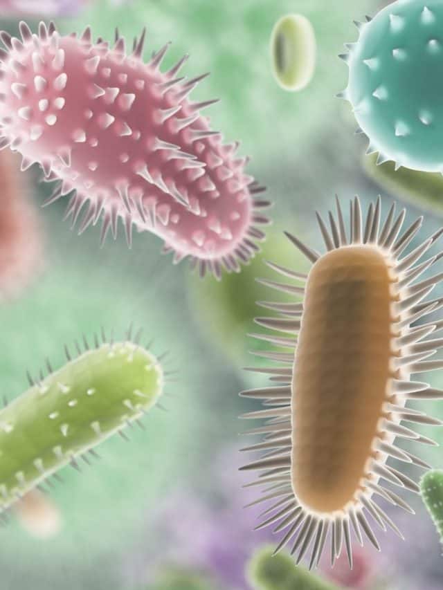 8 Deadliest Viral Diseases with No Cure in Medical Science