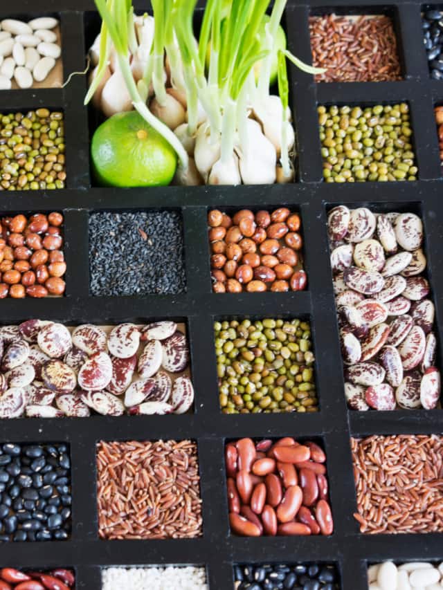 5 Vegetable Seeds To Use To Grow Plants