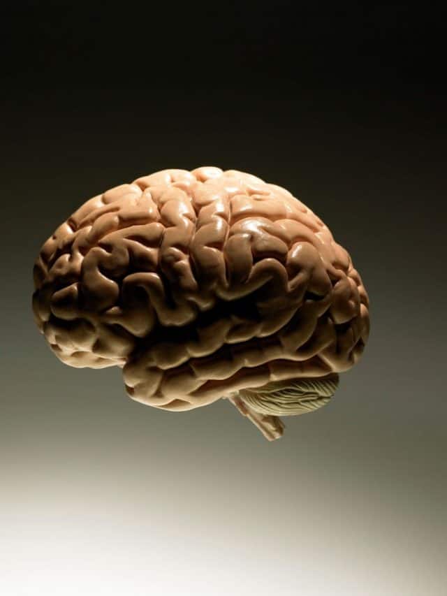 8 superfoods that keep your brain healthy and sharp, beat ageing