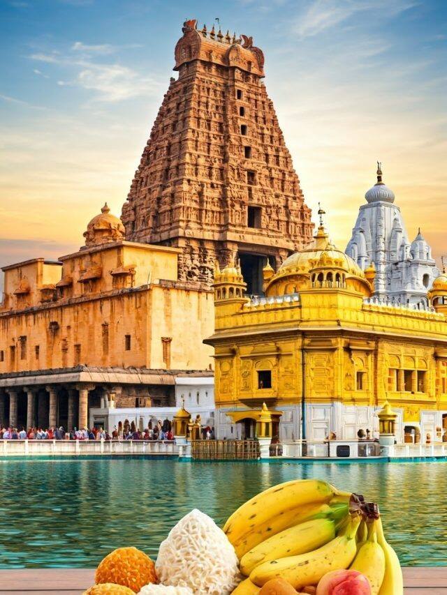 Meet Miss Universe India 2024: Rhea Singha