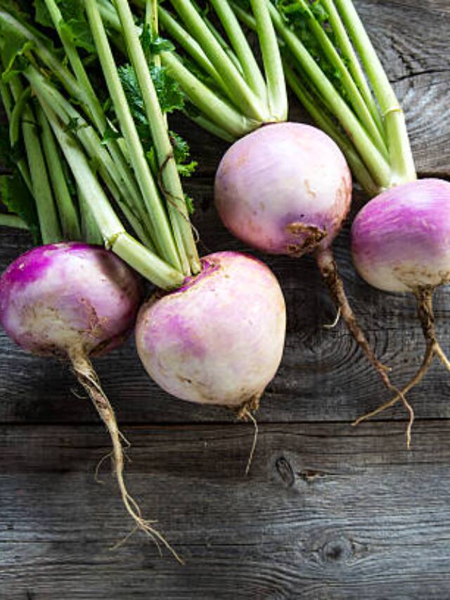 5 Turnip Recipes For Flavourful Home Meals