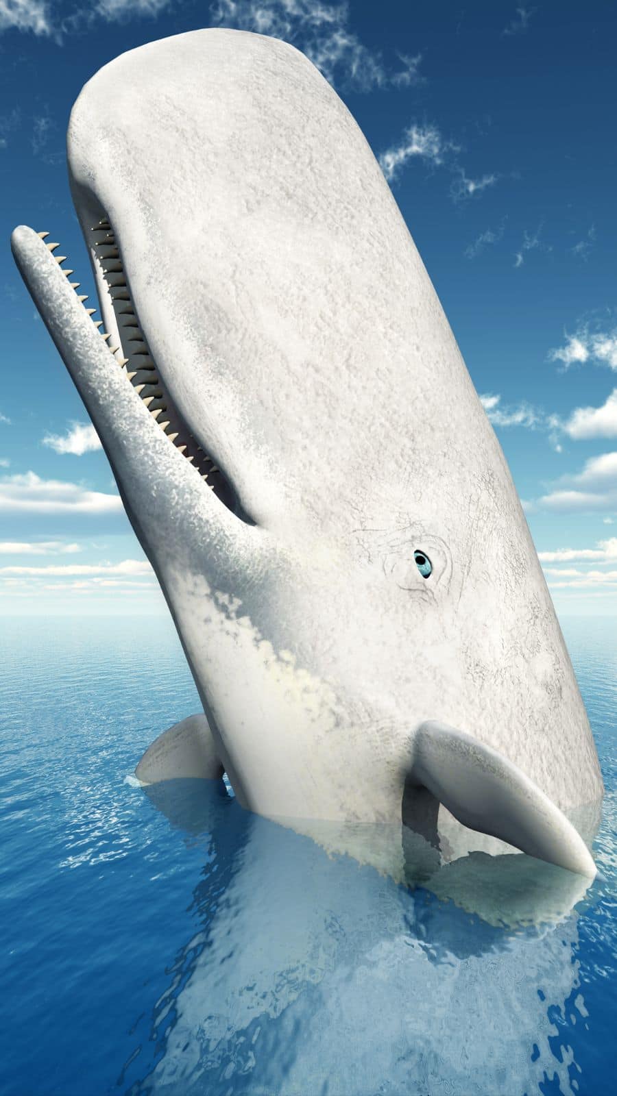 Worlds Largest Animal Top 10: The Largest Animals In The World