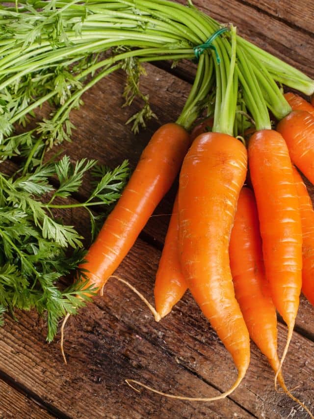 Afghanistan taliban pakistan ttp demands for nuclear power commission ...