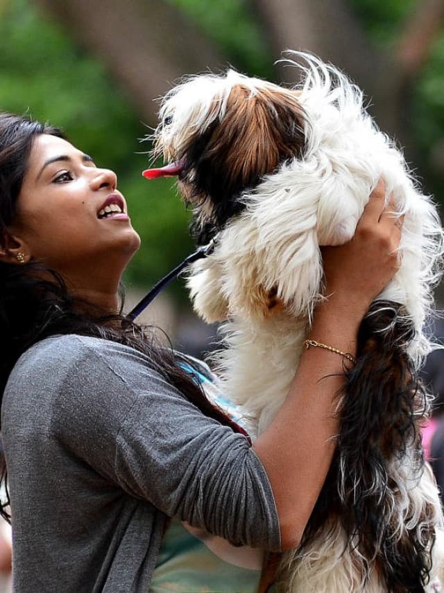 Mangaluru: ‘ಲಕ್ಷ ಲಕ್ಷ ವಸೂಲಿ, ಹಲ್ಲೆ’; ಮೊಯಿದ್ದೀನ್ ಬಾವಾ ಸಹೋದರ ನಾಪತ್ತೆ ...