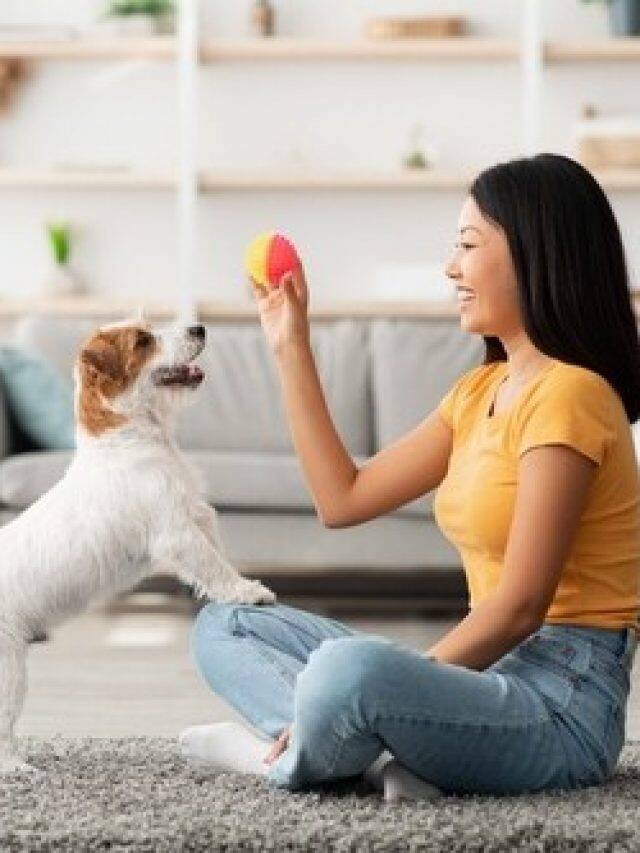 6 Common Mistakes Pet Parents Make And How To Avoid Them