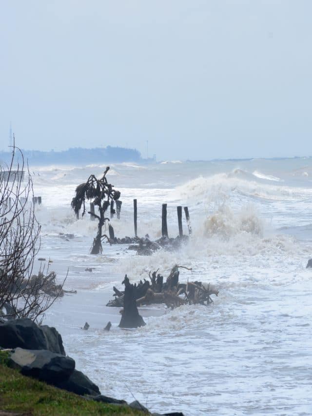 Top 10 deadliest natural disasters in history