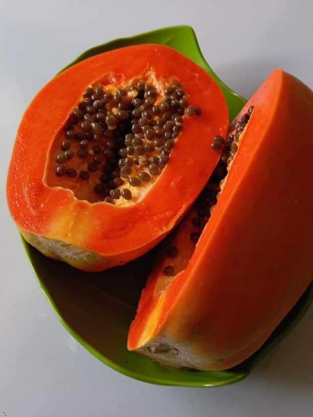 National Tree of India: ஆலமரமா? அரசமரமா?.. இந்தியாவின் தேசிய மரம் எது ...