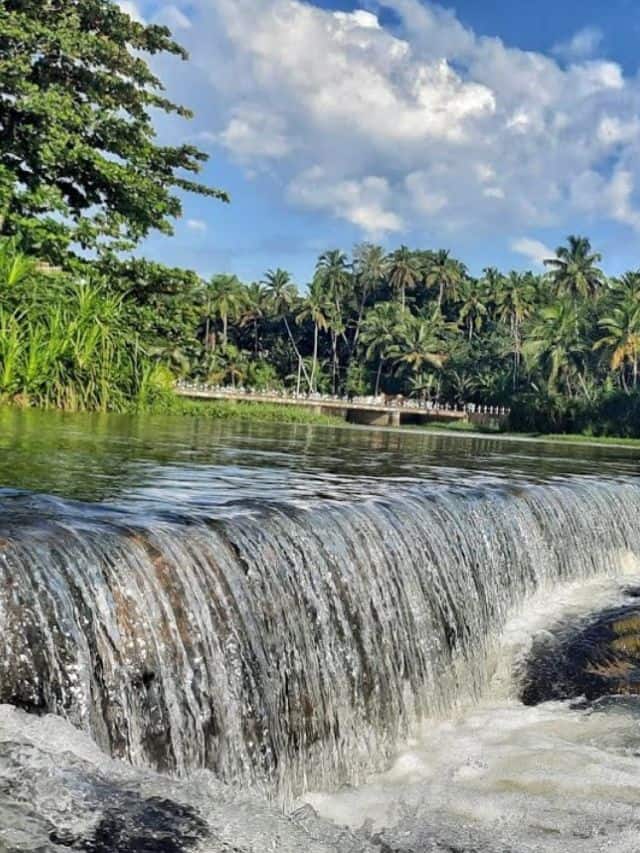 ஒடுக்கப்பட்ட சமுகத்தினரை குற்றப்பரம்பரையாக சித்தரிப்பதா? - நடிகை ...