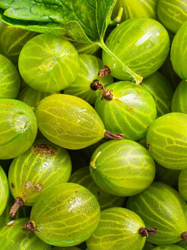 5 Reasons To Include Superfood Amla In Your Winter Diet