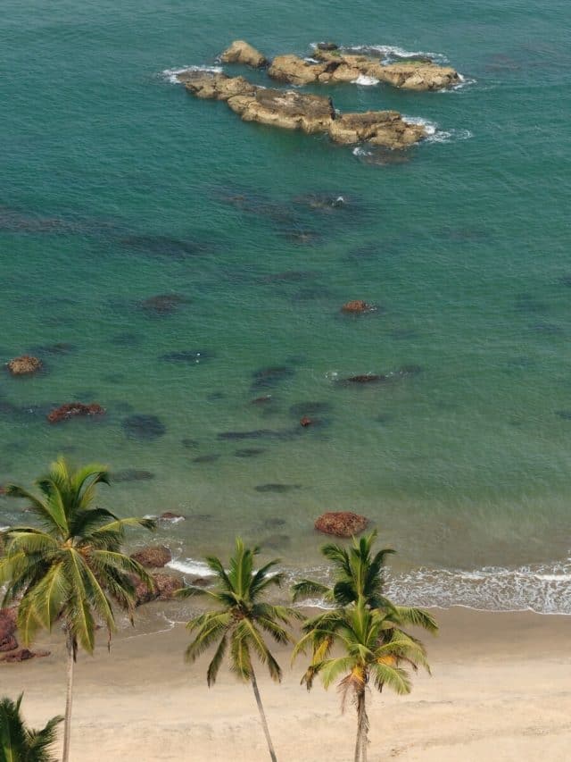 10 Best Indian Beach Destinations for a Perfect New Year Vacation