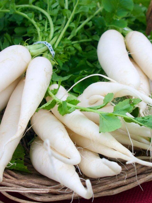 सर्दियों में मूली खाएं, सेहत बनाएं, जानें ये 5 बड़े फायदे