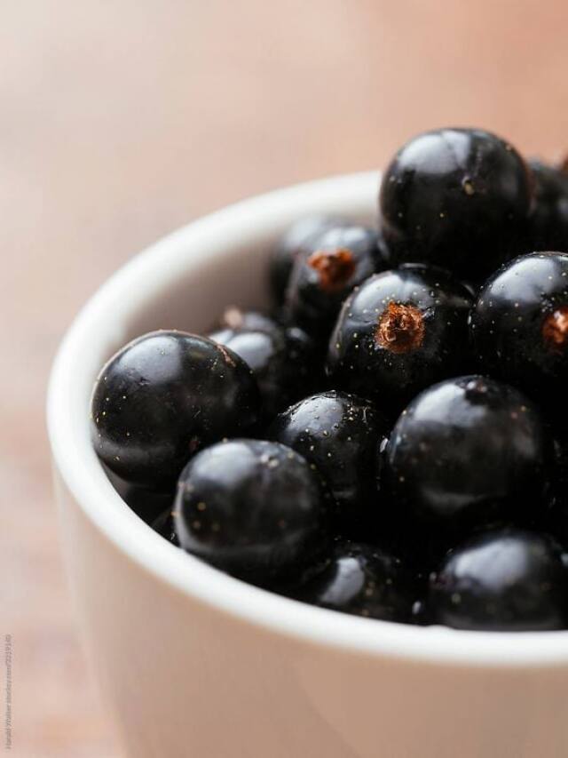 Black is back: 10 black foods you must add to your meals