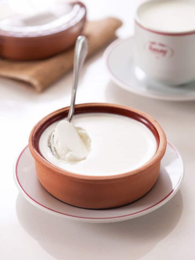 8 types of yoghurt and their benefits