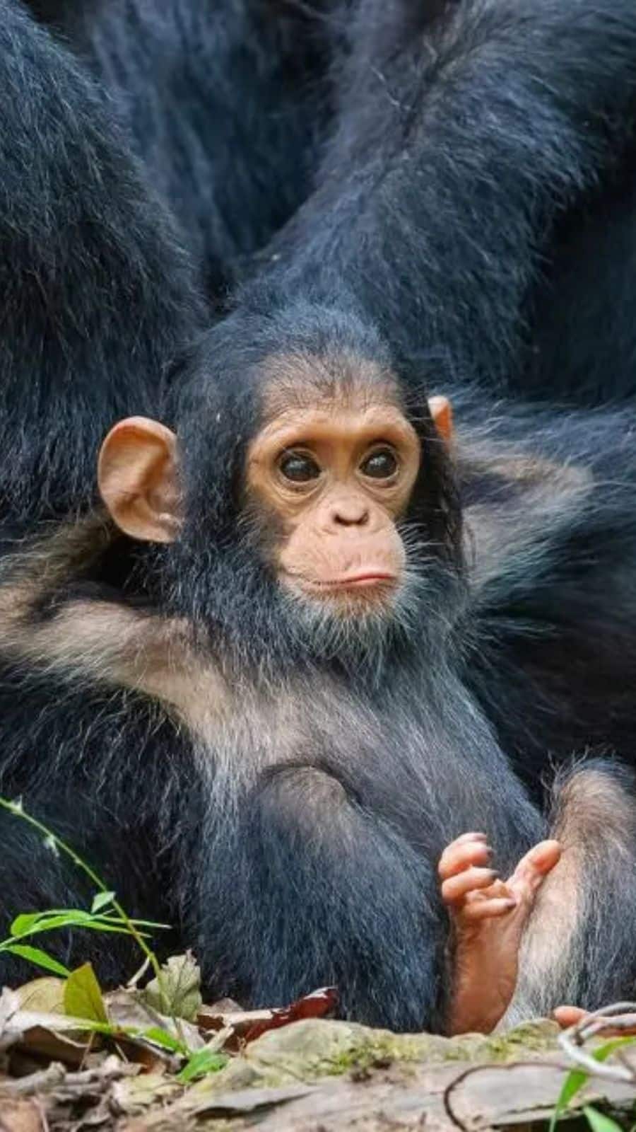 Top 10 Funniest Photo In The World Of All Time - Infoupdate.org