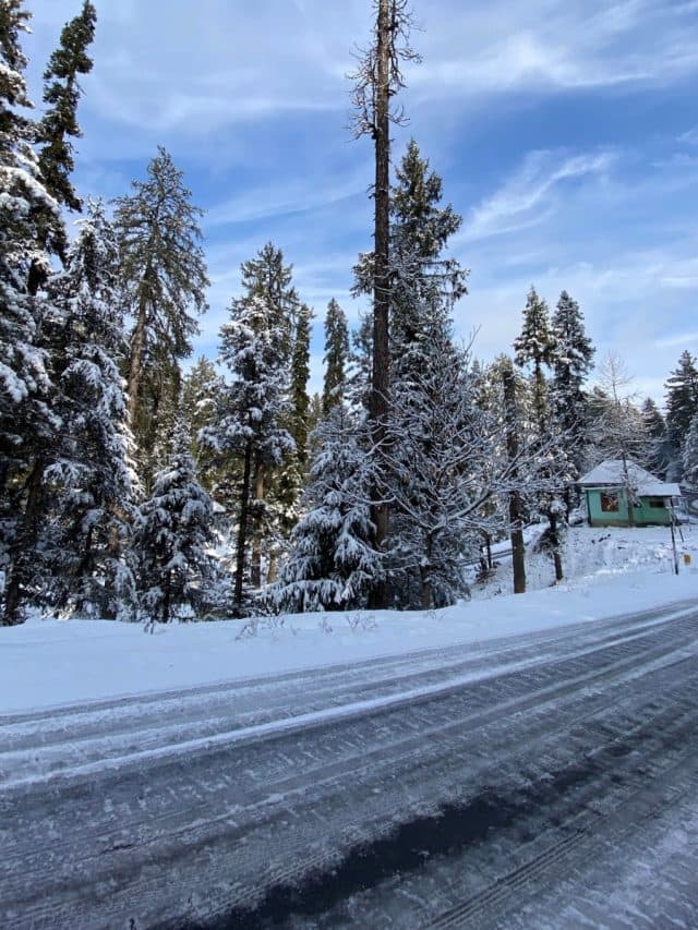 10 Best Snowfall Destinations To Visit in India in December