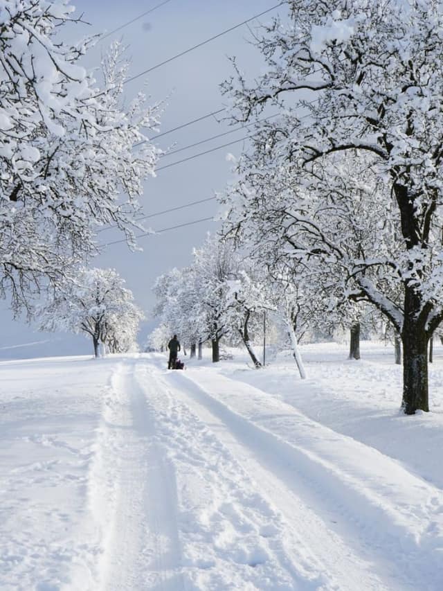 Let it Snow! 10 best snow destinations to travel to this winter