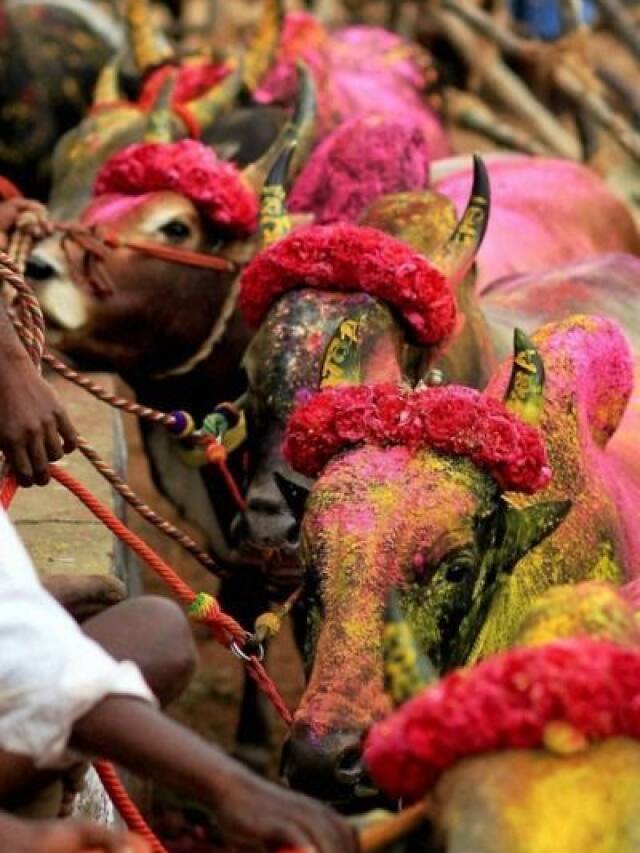 Spiritual Beings: 10 sacred birds and animals of India