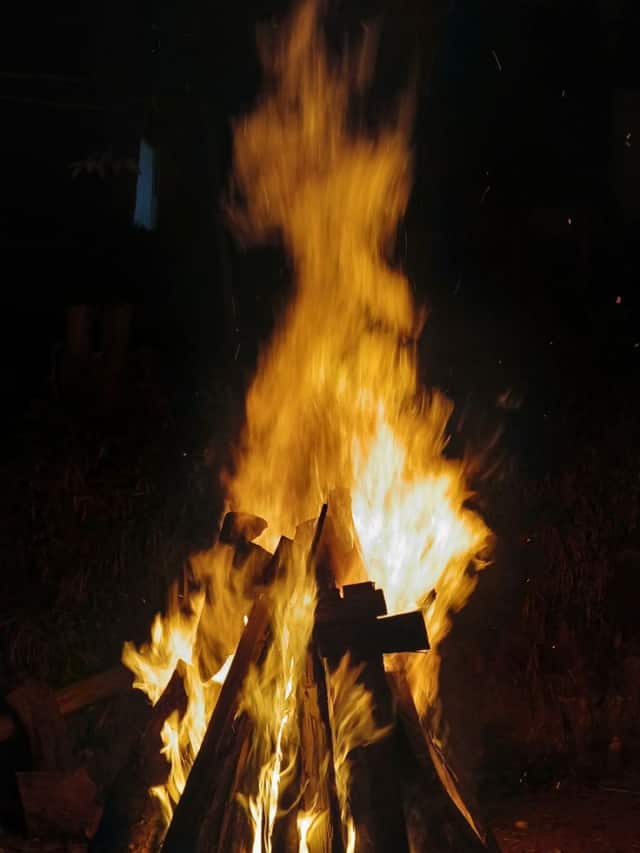 Makar Sankranti to Pongal: 8 harvest festivals and their delicacies