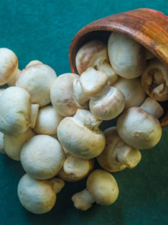 8 Easy Steps To Grow Mushrooms At Home