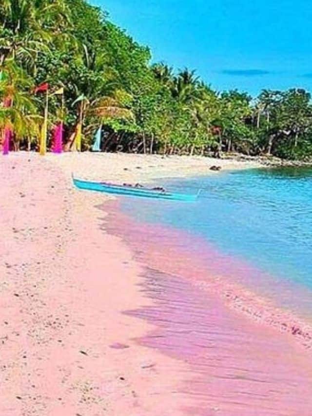 5 Beautiful Pink Sand Beaches To Take Your Valentine