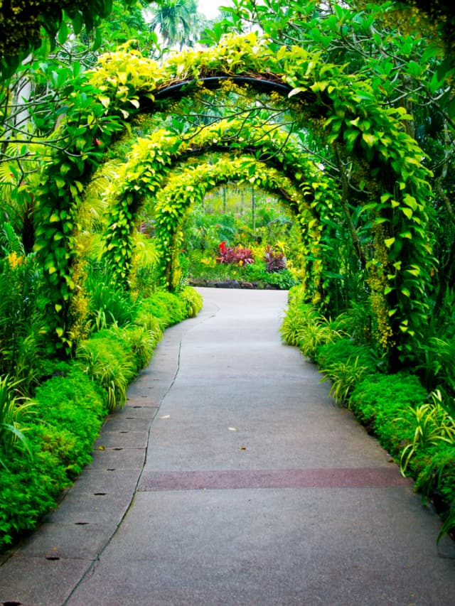 Most Beautiful Botanical Gardens
