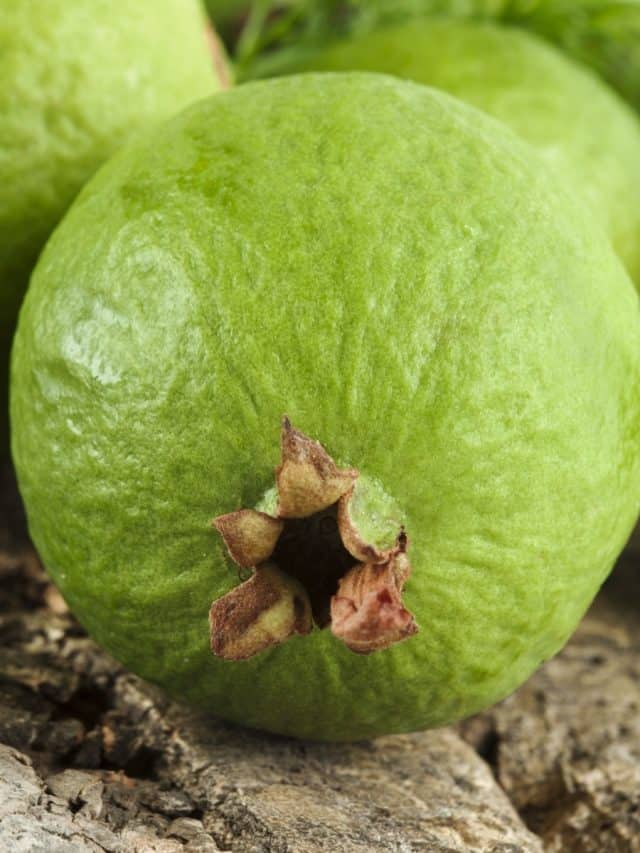 Superfood for Vitamin C dose: 9 health benefits of guava