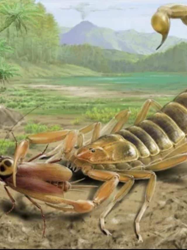 Jeholia longchengi: Giant 125-Million-Year-Old Scorpion Discovered in China