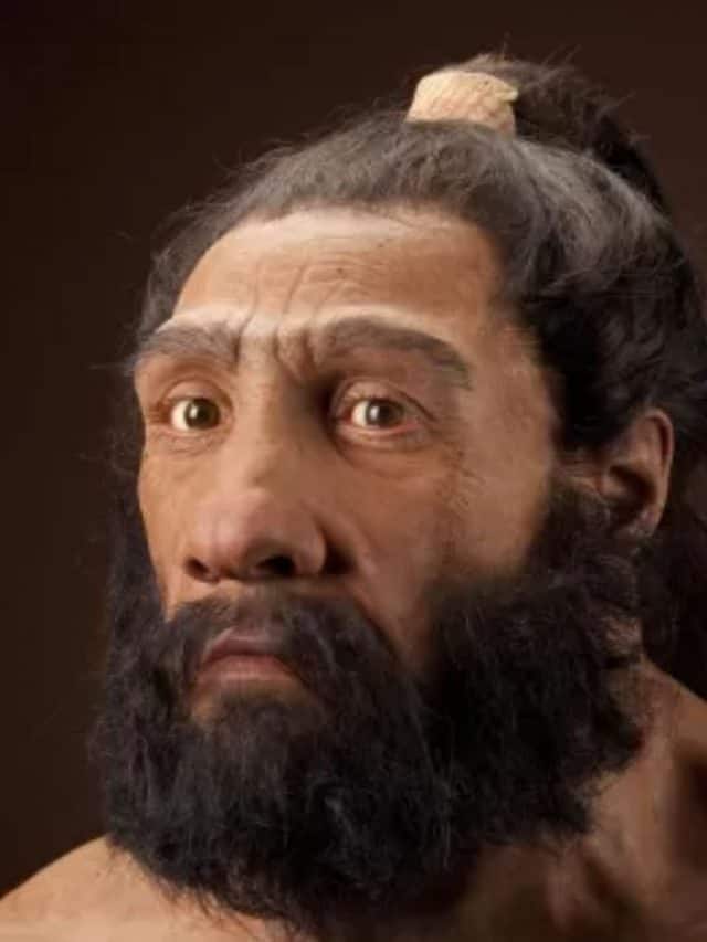 Neanderthals: 10 Facts About Our Extinct Human Relatives